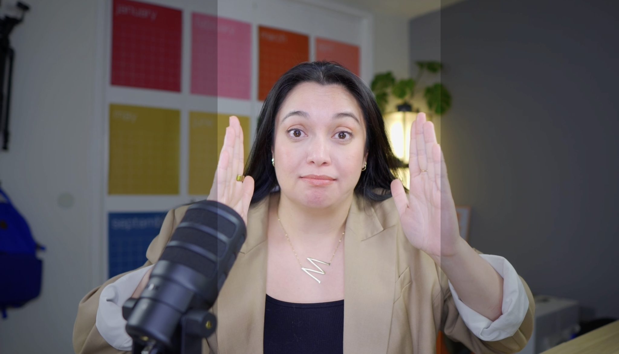 How to Stream to Instagram Live with Ecamm – Ecamm Network Blog